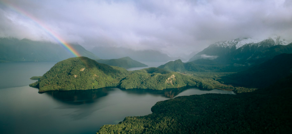 Celebrating 50 years of the Save Manapouri Campaign - Coal Action ...